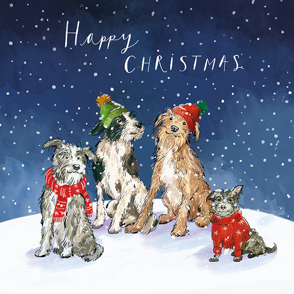 Dog christmas cards store